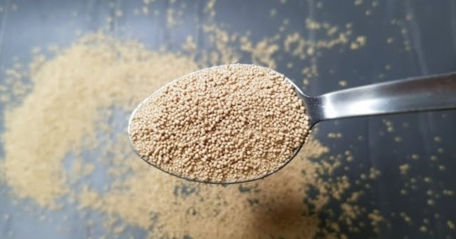 Homemade Yeast Recipe : ഇച്ചിരി മൈദയും പഞ്ചസാരയും മതി; വെറും 2 മിനിറ്റി ...